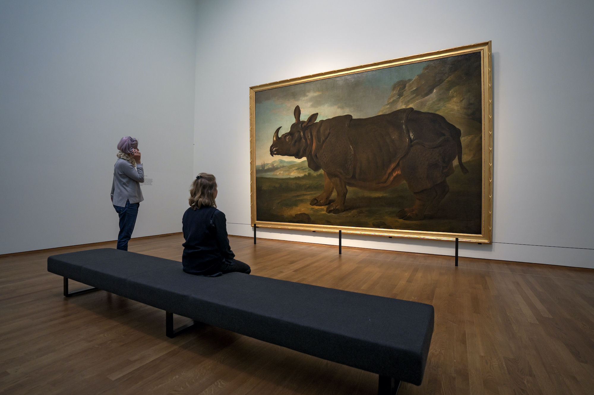 Ein Nashorn im Museum | WELTKUNST