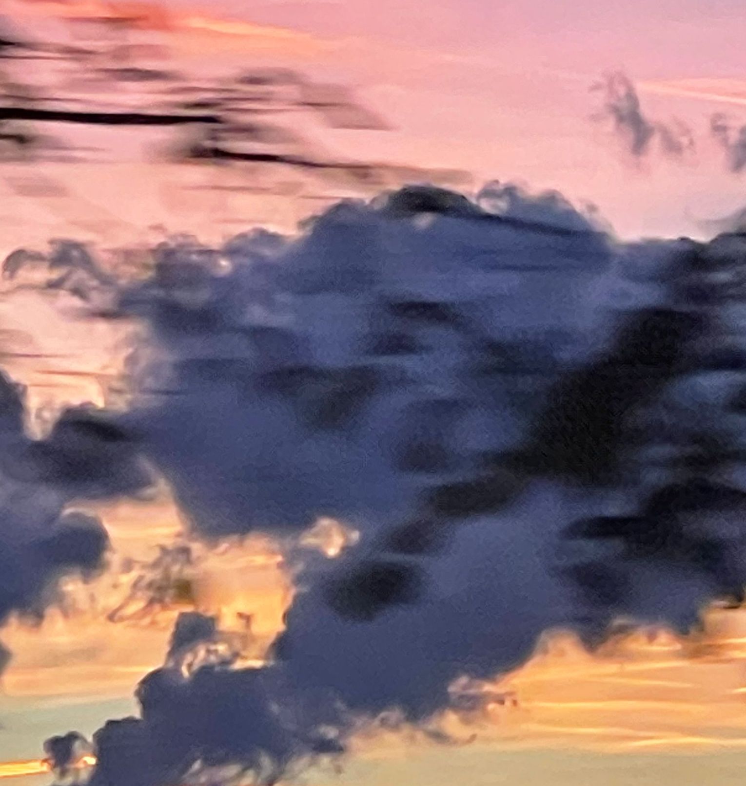 10 unter 10.000: New Positions der Art Cologne | WELTKUNST