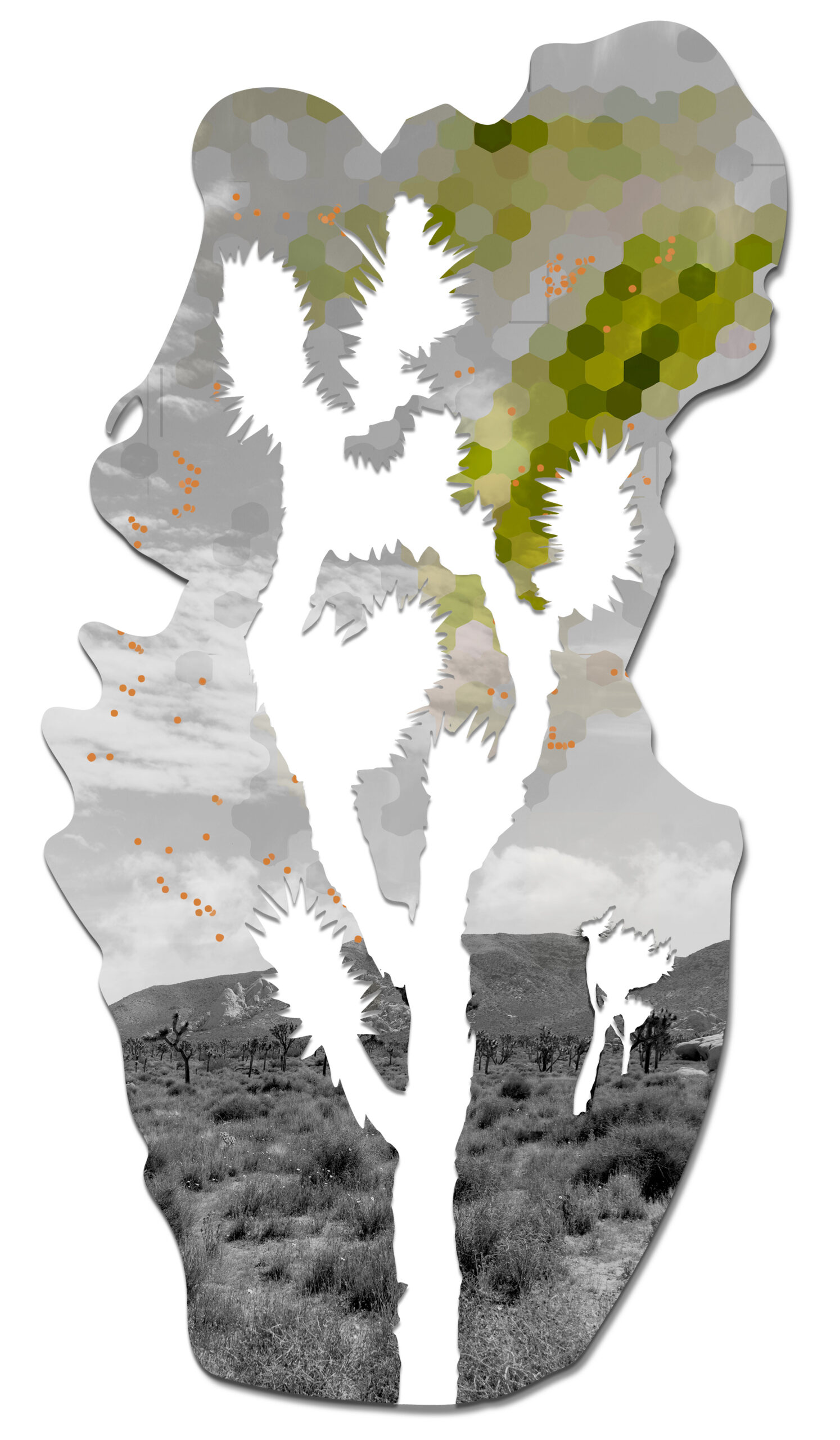 Kunstfestival PST ART in Kalifornien eröffnet | WELTKUNST